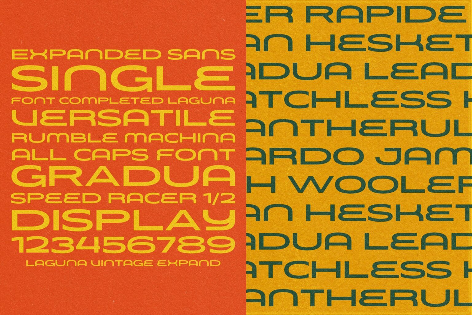 Laguna Vintage Collection – MasterBundles