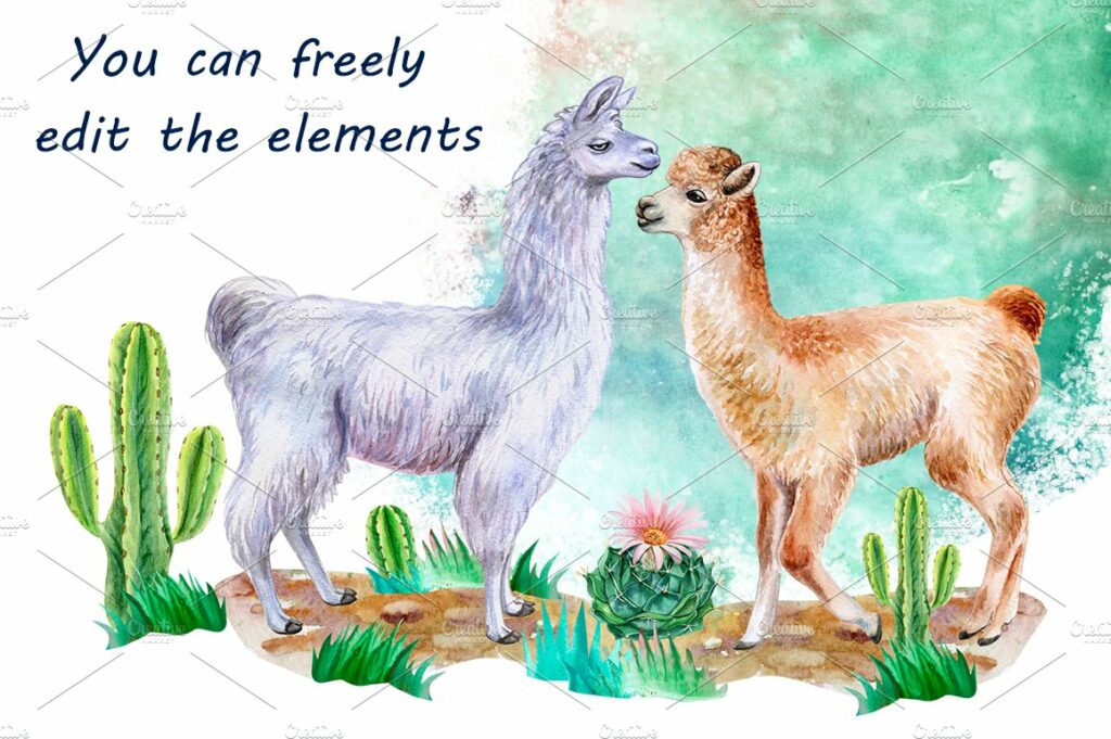 Llamas and alpacas. Watercolor. – MasterBundles
