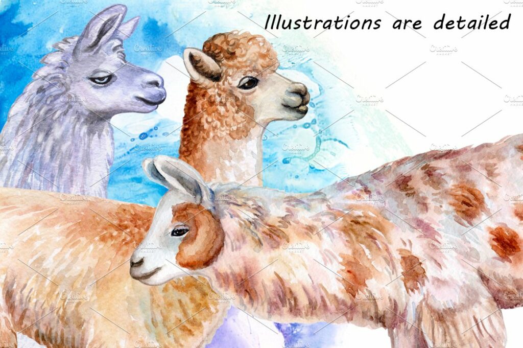 Llamas and alpacas. Watercolor. – MasterBundles
