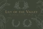 Lily of the Valley Logo Illustration – MasterBundles