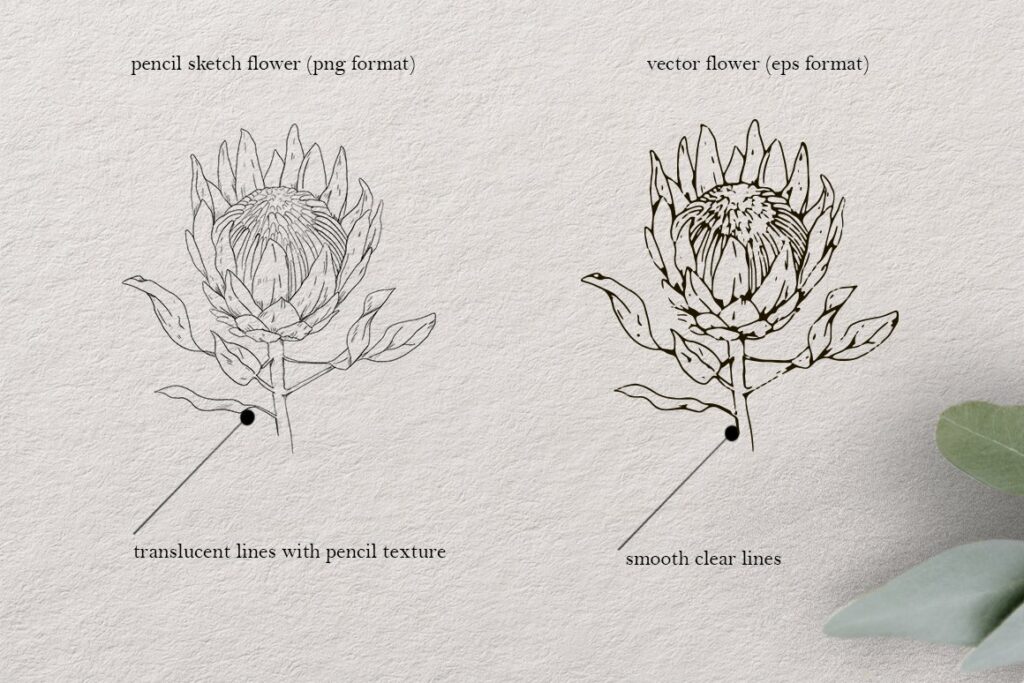 Spring flowers - pencil sketch set – MasterBundles