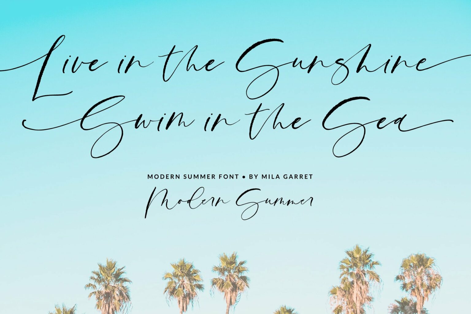 Modern Summer Calligraphy Logo Font – MasterBundles