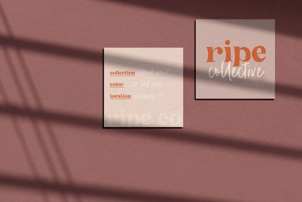 The California | Serif Font Duo – MasterBundles
