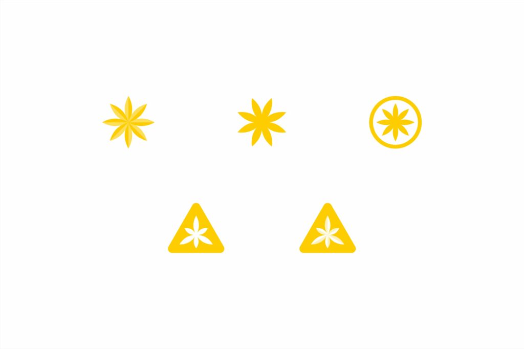 Aster company logo template. – MasterBundles