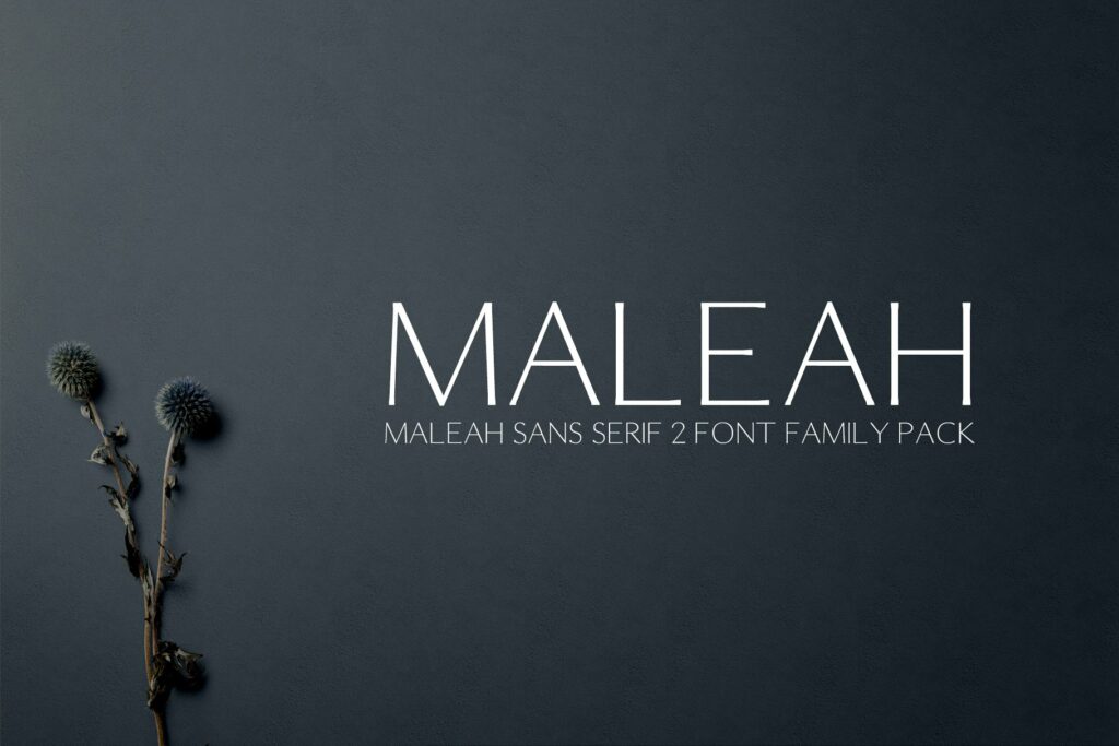 Maleah Sans Serif 4 Font Family Pack – MasterBundles