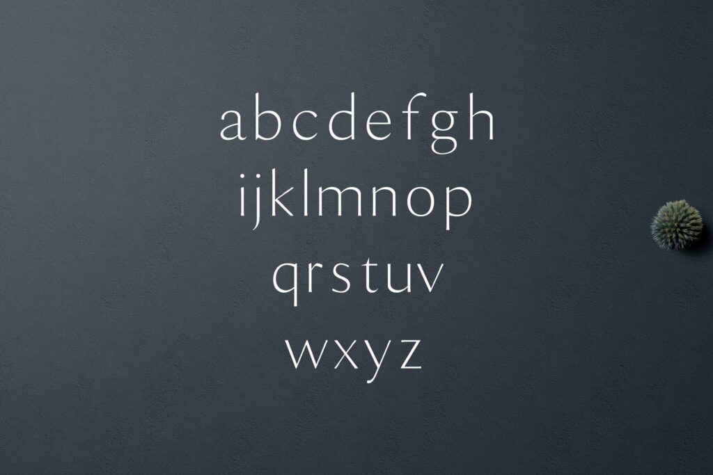 Maleah Sans Serif 4 Font Family Pack – MasterBundles