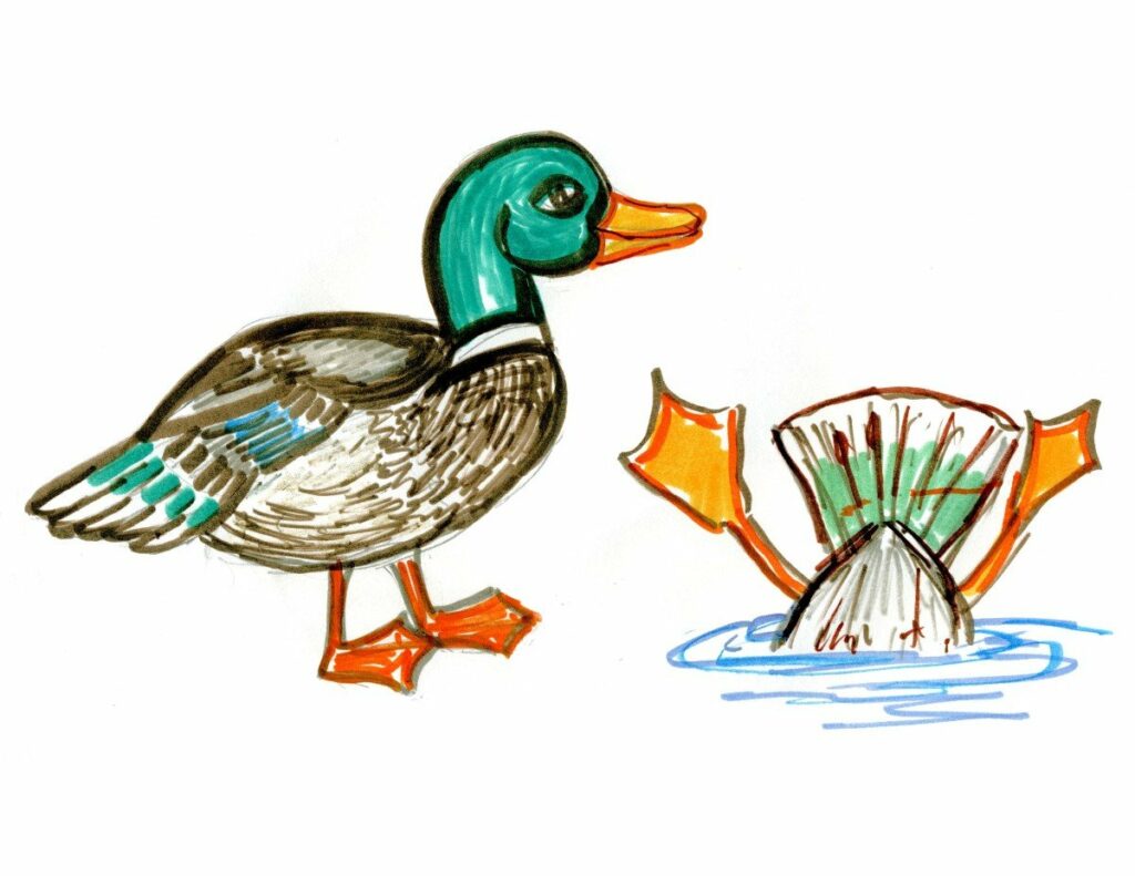Just Ducky Color Sketches – MasterBundles