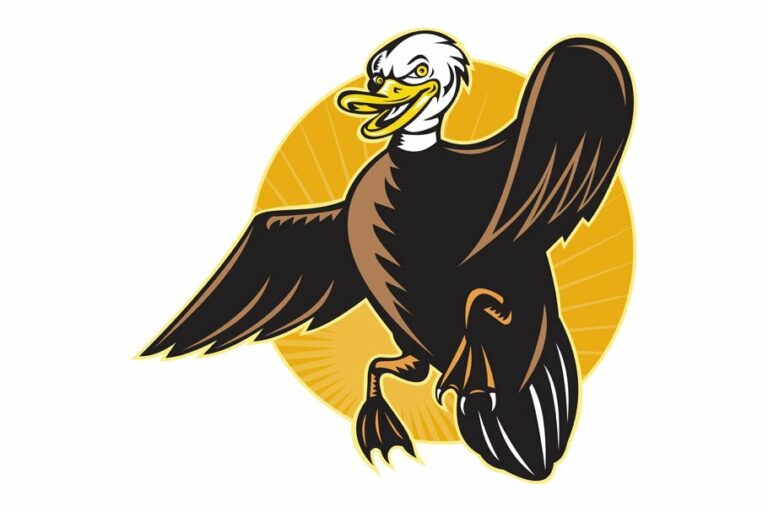 angry mallard duck flying front – MasterBundles