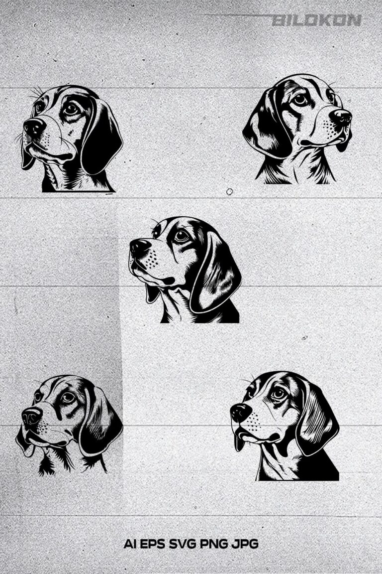 Beagle head, SVG, Vector - MasterBundles