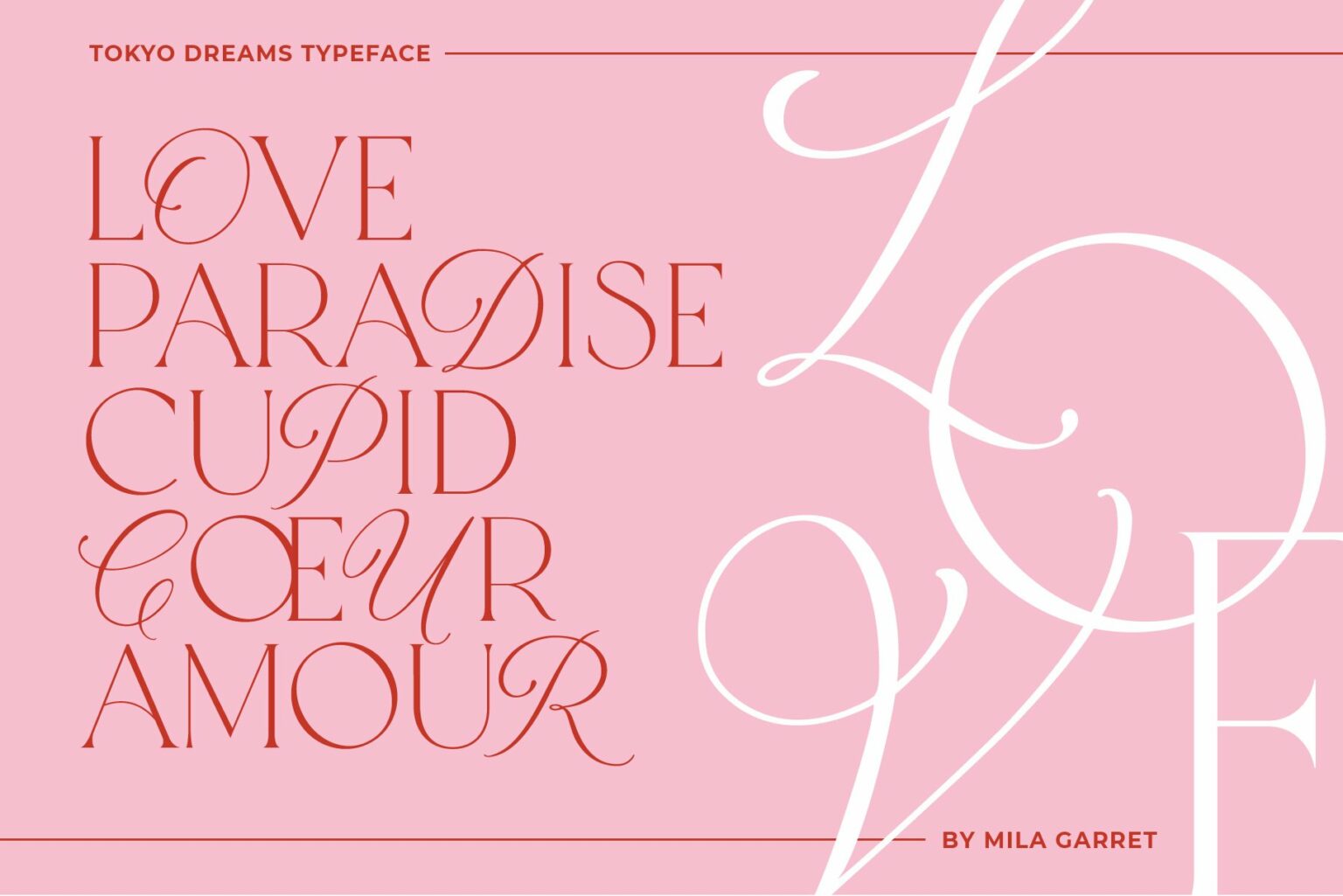 Tokyo Dreams Display Ligature Serif – MasterBundles