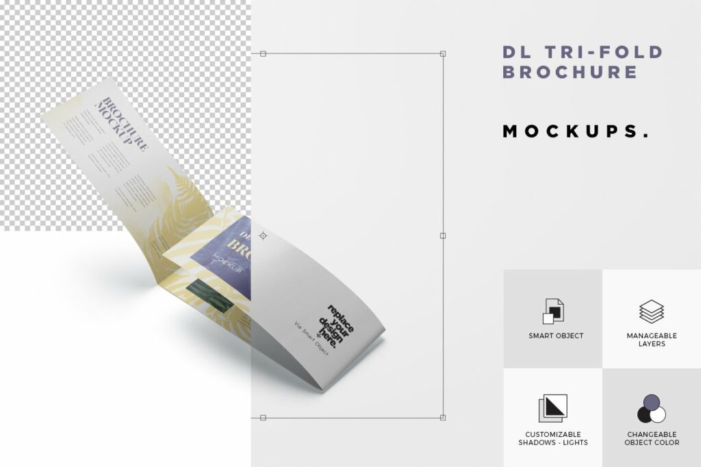 DL Tri-Fold Brochure Mock-Up – MasterBundles