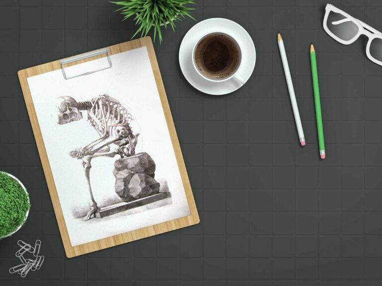 Simple Mockup Scene Creator – MasterBundles