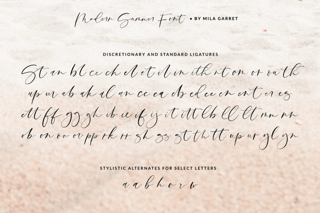 Modern Summer Calligraphy Logo Font – MasterBundles