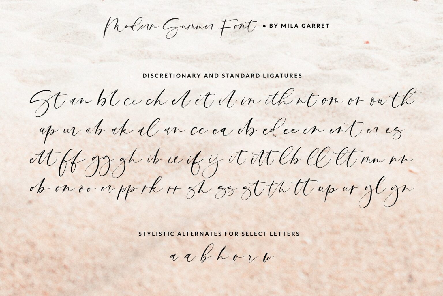 Modern Summer Calligraphy Logo Font – MasterBundles