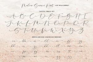 Modern Summer Calligraphy Logo Font – MasterBundles