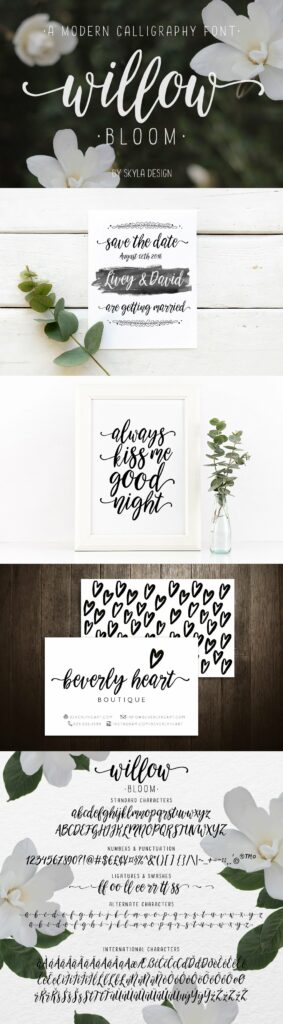 Willow Bloom modern calligraphy font – MasterBundles