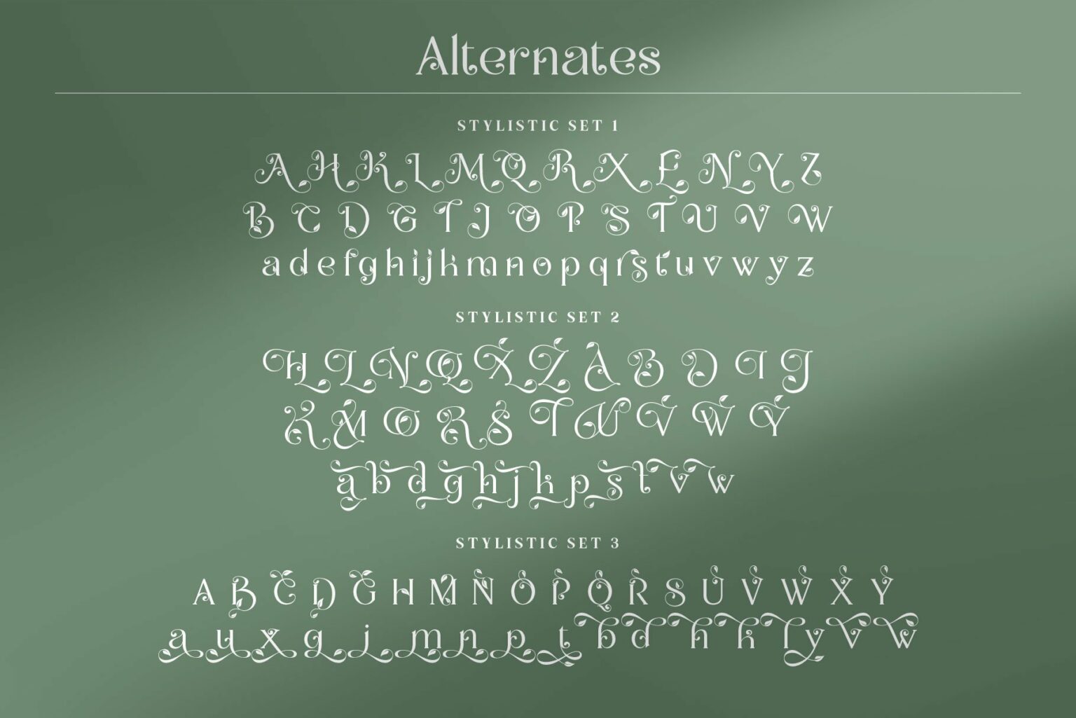 The Moot Jungle Nature Typeface – MasterBundles
