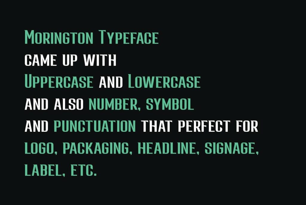 Morington Display Typeface – MasterBundles