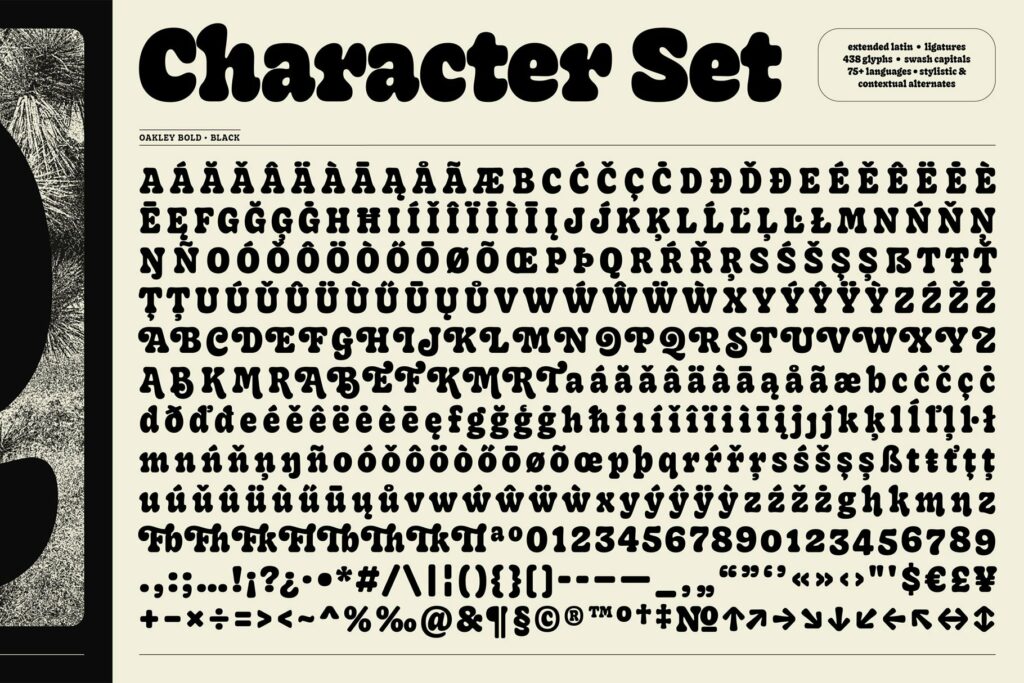 Oakley Typeface – MasterBundles