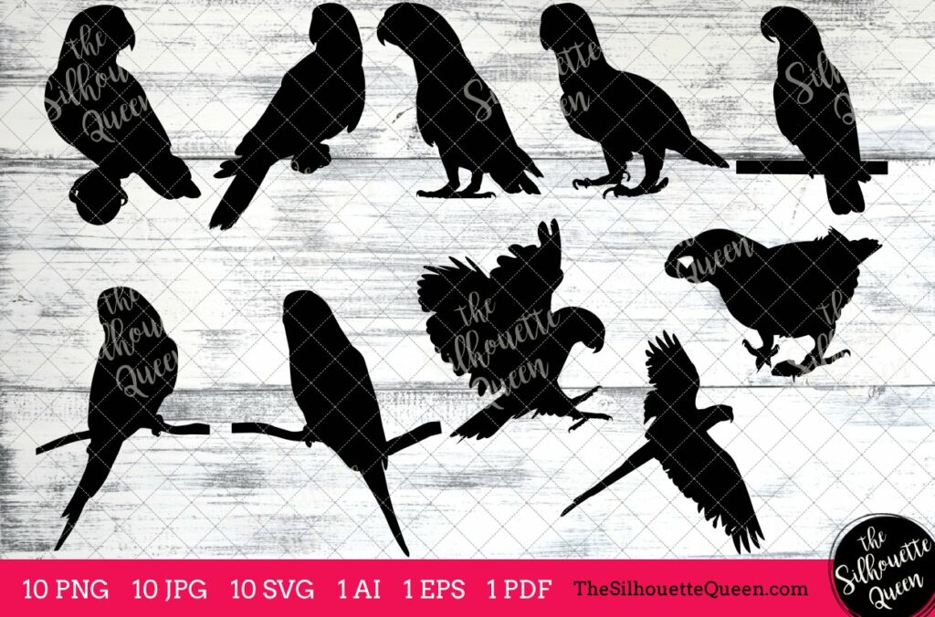 Parakeet Silhouette Vector Graphics – MasterBundles