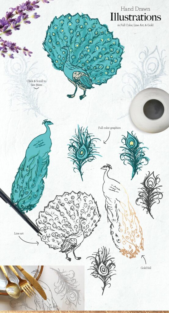 Fancy Peacock Collection – MasterBundles