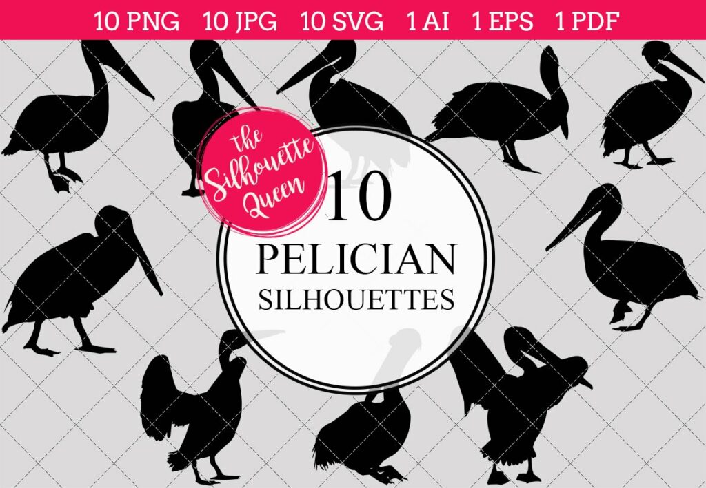 Pelician Silhouette Vector Graphics – MasterBundles