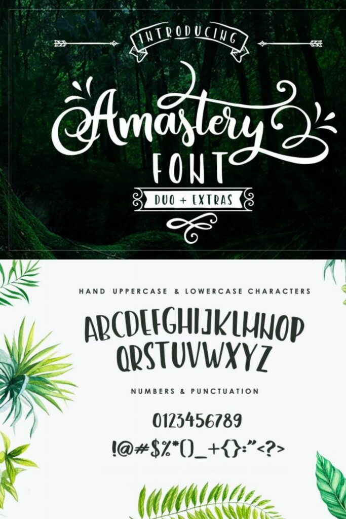 Amastery Font DUO and extras – MasterBundles
