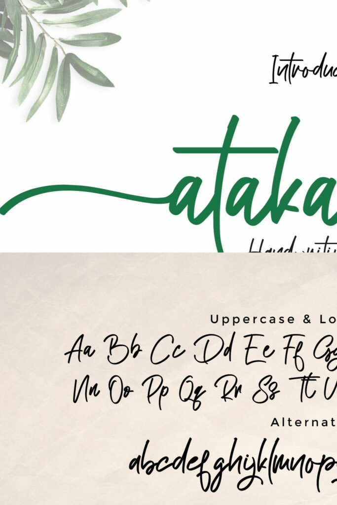 Atakana - Handwriting Script Font – MasterBundles
