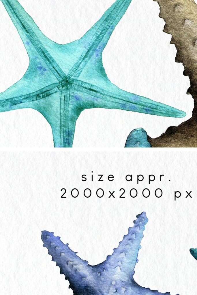 Beach Starfish Clipart Set – MasterBundles