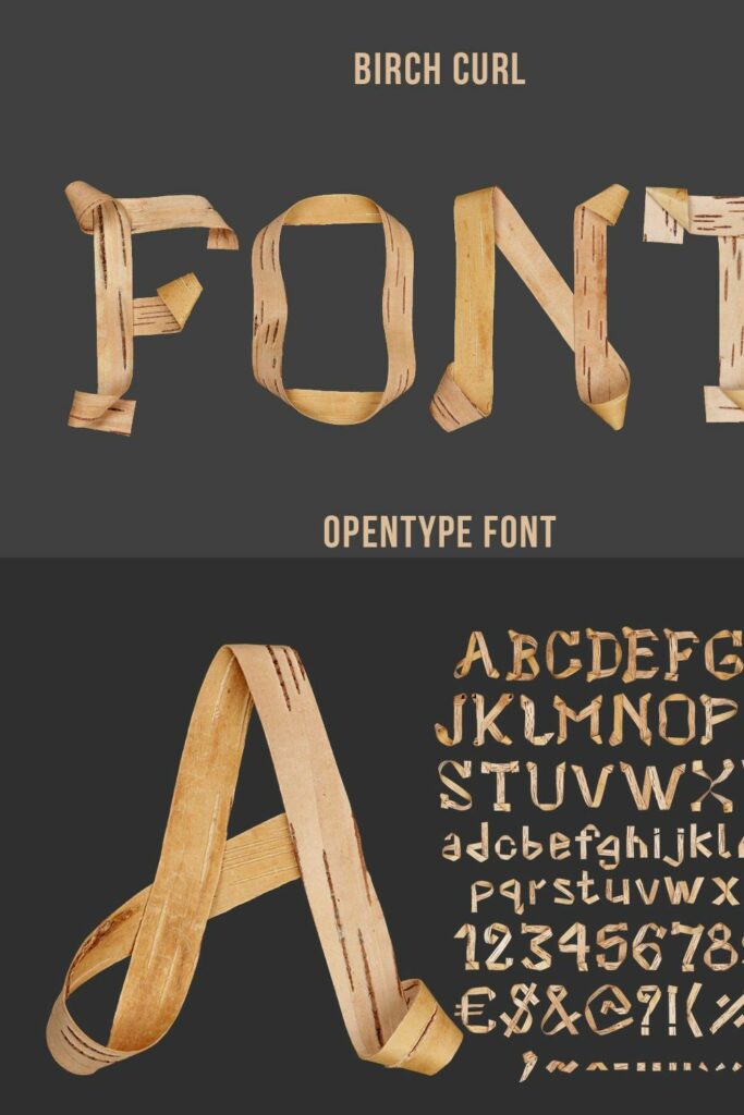 Birch Curl Font – MasterBundles