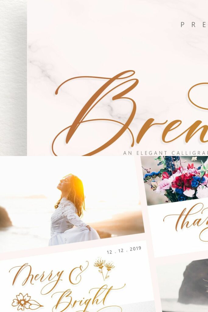 Brendisa Script – MasterBundles