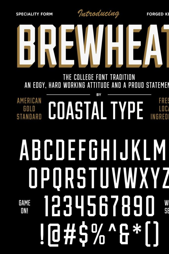 Brewheat | College Font Tradition – MasterBundles