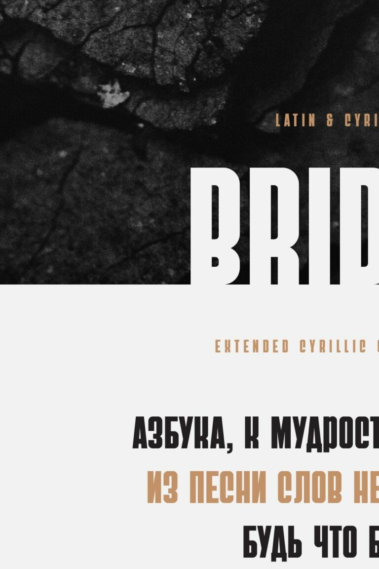 Bridge - Sans Serif Font – MasterBundles