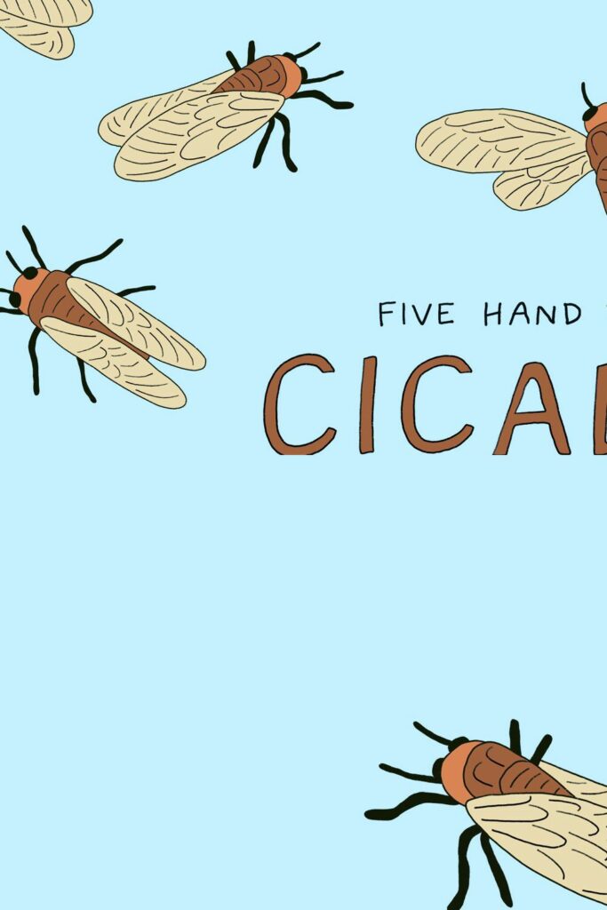 Cicadas Hand-Drawn Illustrations – MasterBundles