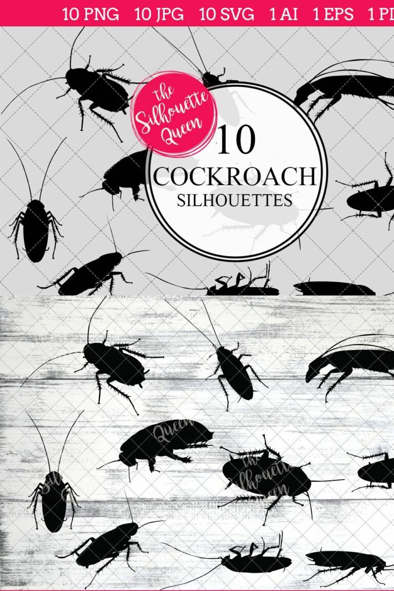 Cockroach Silhouette Clipart – MasterBundles