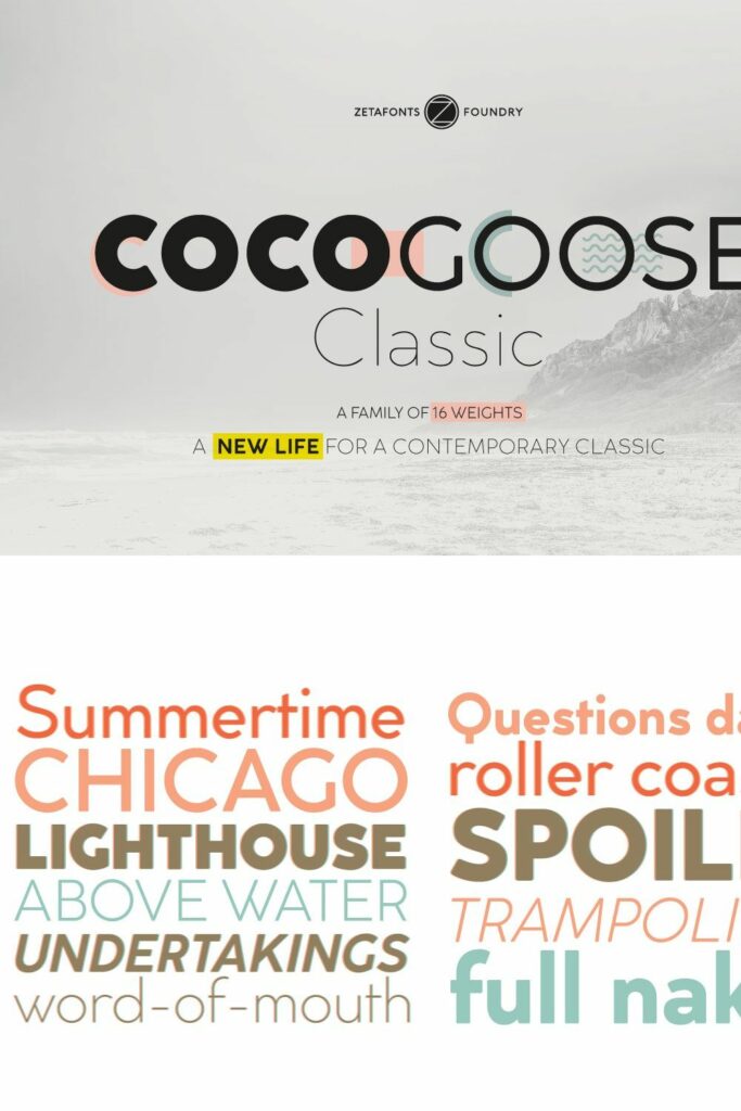 Cocogoose Classic - 16 fonts – MasterBundles