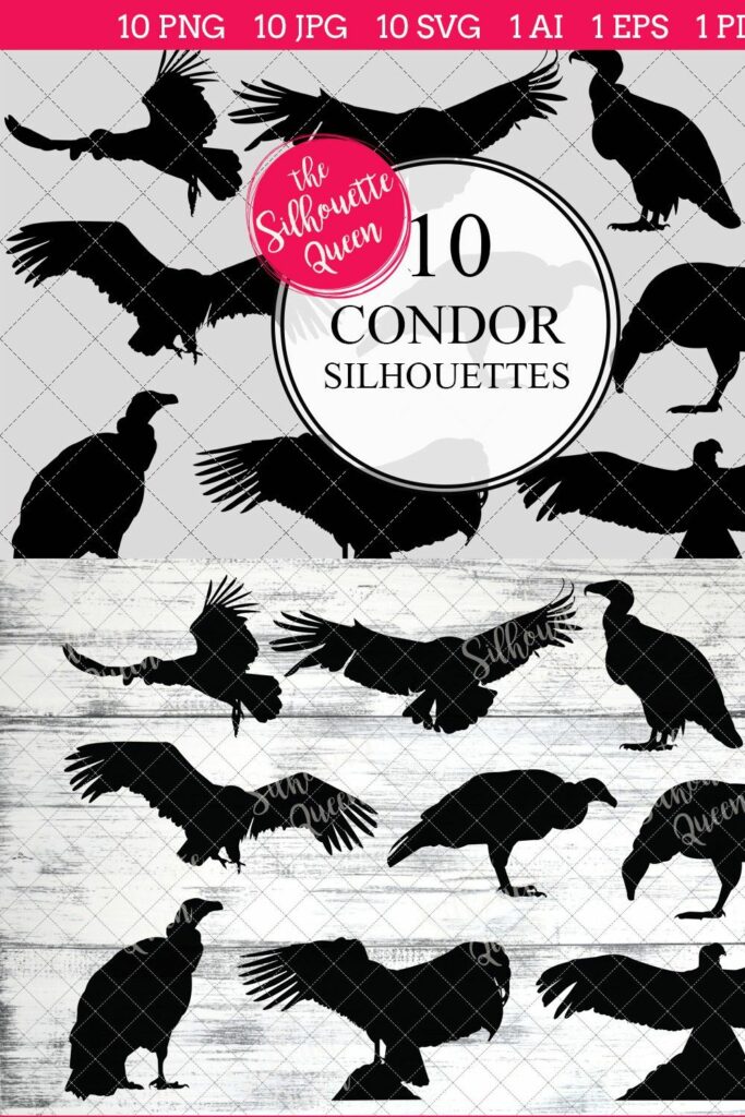 Condor Bird Silhouette Clipart – MasterBundles
