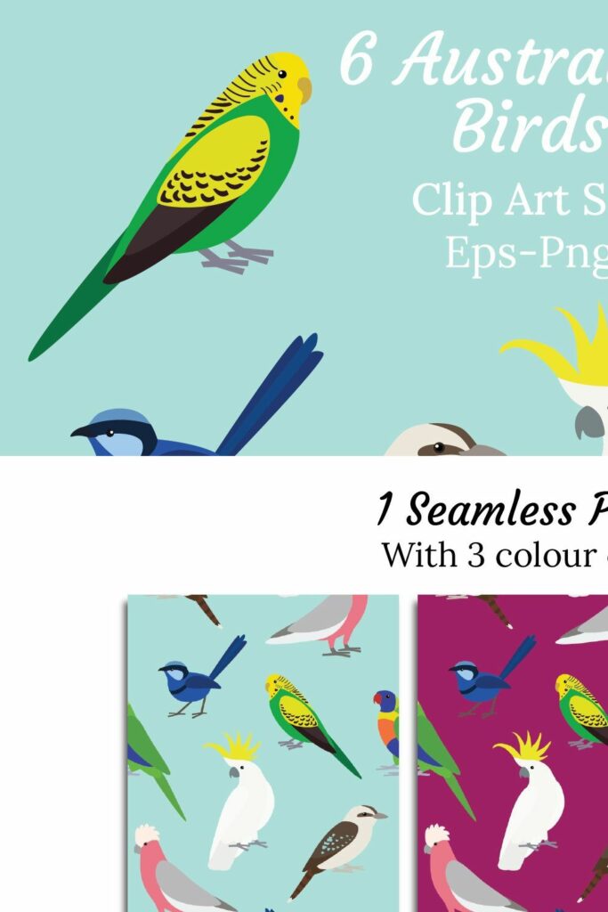 Cute Australian Birds Clipart Bundle – MasterBundles