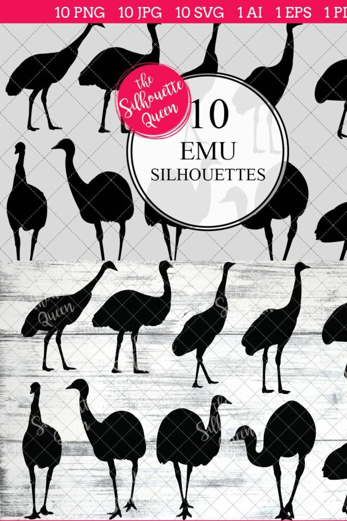 Emu bird Silhouette Clipart Vector – MasterBundles