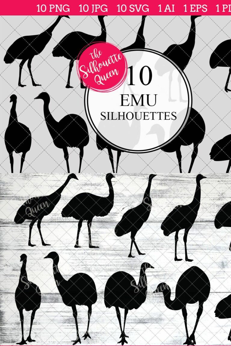 Emu bird Silhouette Clipart Vector – MasterBundles