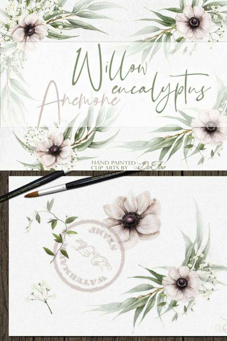 Eucalyptus Anemone Illustration – MasterBundles