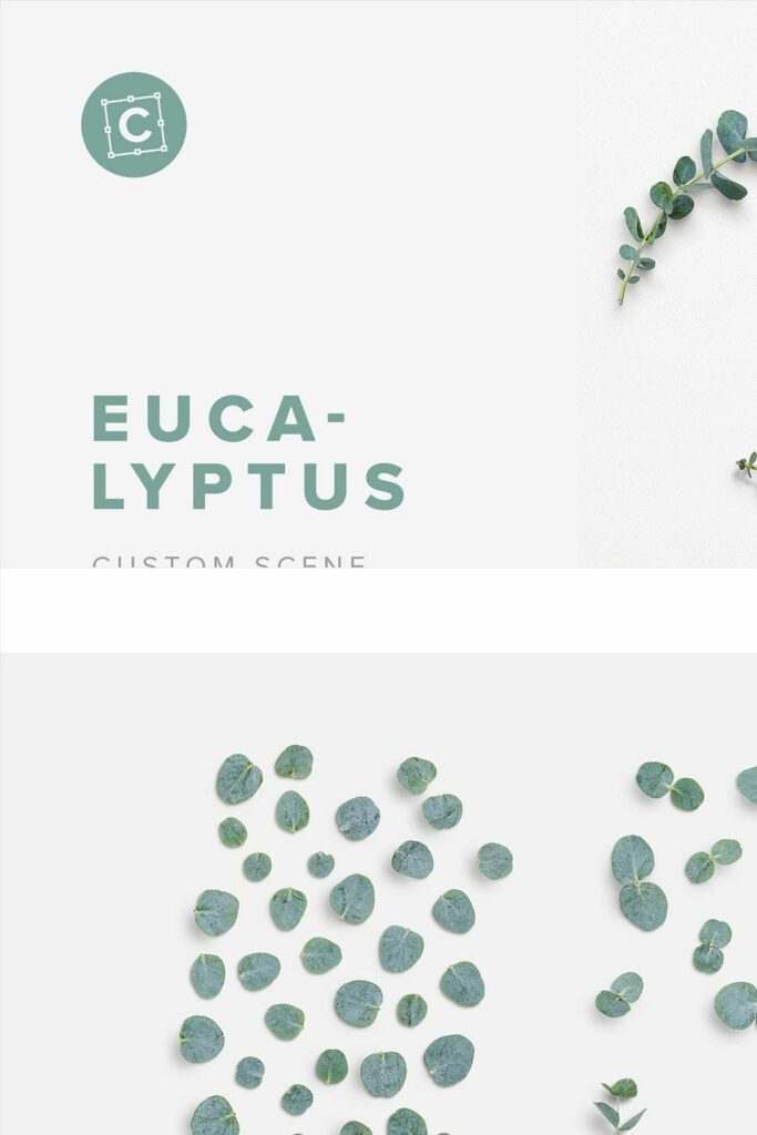 Eucalyptus Custom Scene Creator – MasterBundles