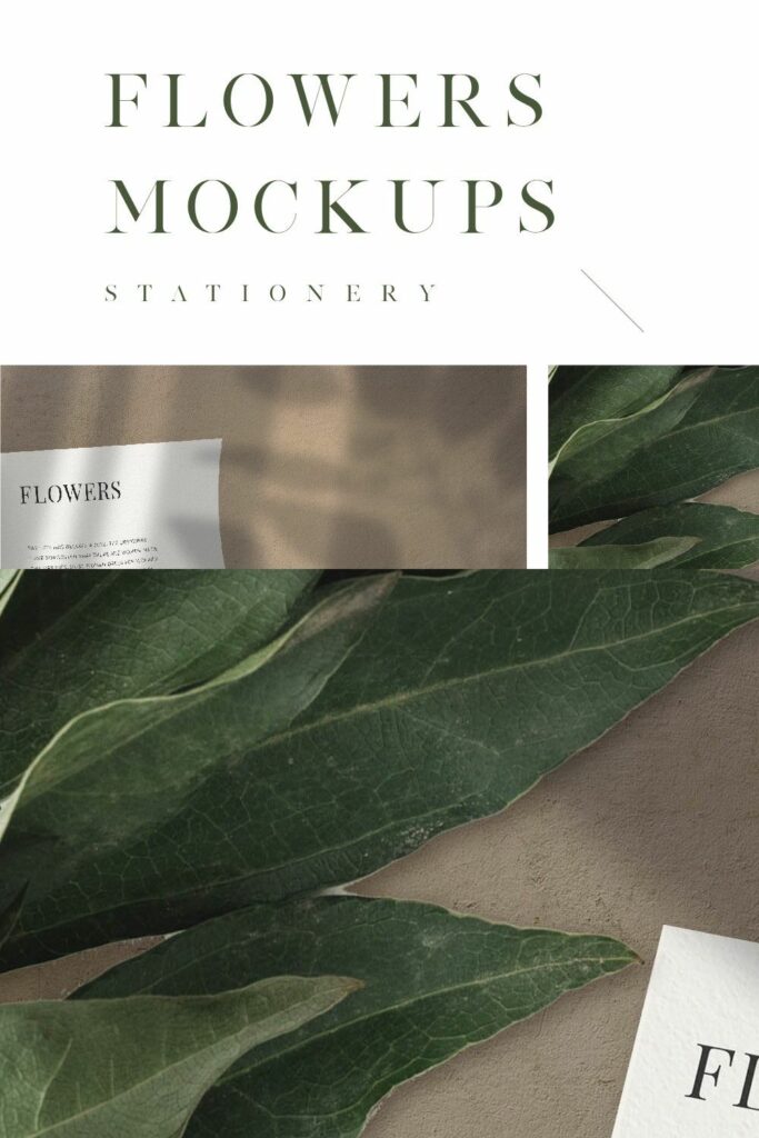 Flowers - (Mockup kit) Scene Creator – MasterBundles