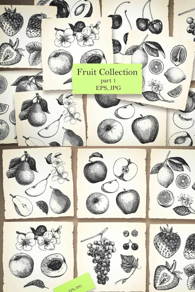 Fruit Collection / part 1 – MasterBundles