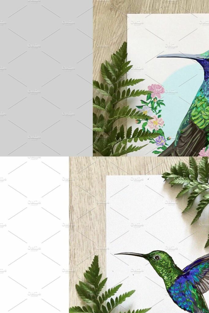 Hummingbird (colibri) illustration – MasterBundles