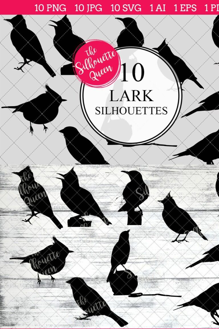 Lark Silhouette Vector Graphics – MasterBundles