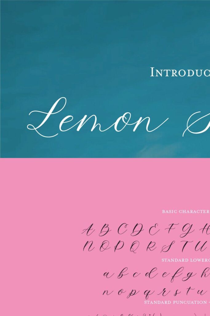Lemon Squeezy Calligraphy Font – MasterBundles