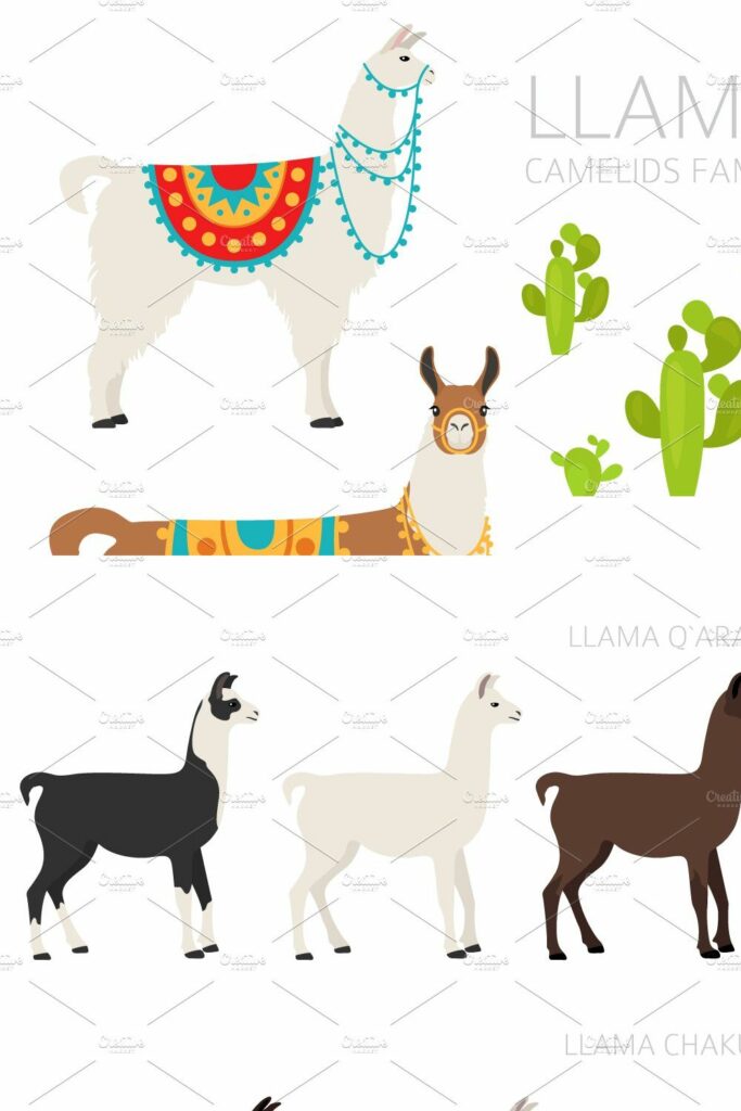 Llama clipart – MasterBundles