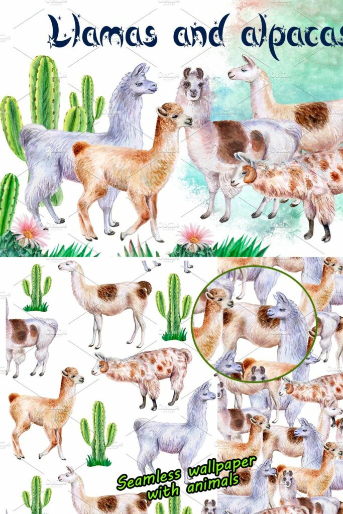 Llamas and alpacas. Watercolor. – MasterBundles