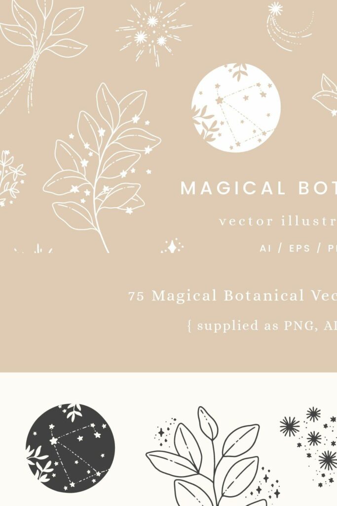 Magical Botanical lllustrations – MasterBundles